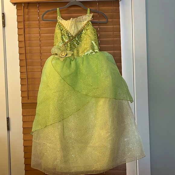 Costumes | Tiana Princess Costume And Crown Like New Disney Brand ...